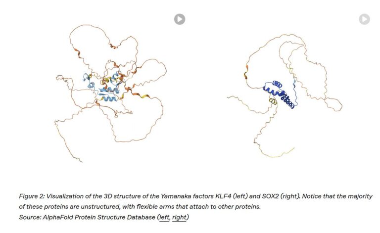 OpenAI攜手Retro Biosciences推出GPT-4b micro，山中因子誘導幹細胞效率突破50倍，引領抗衰老與再生醫學新紀元 ...